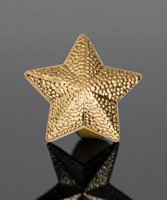 Show details for Small Gold Star Lapel Pin
