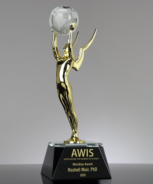 Golden Pinnacle Globe Award | Edco Awards