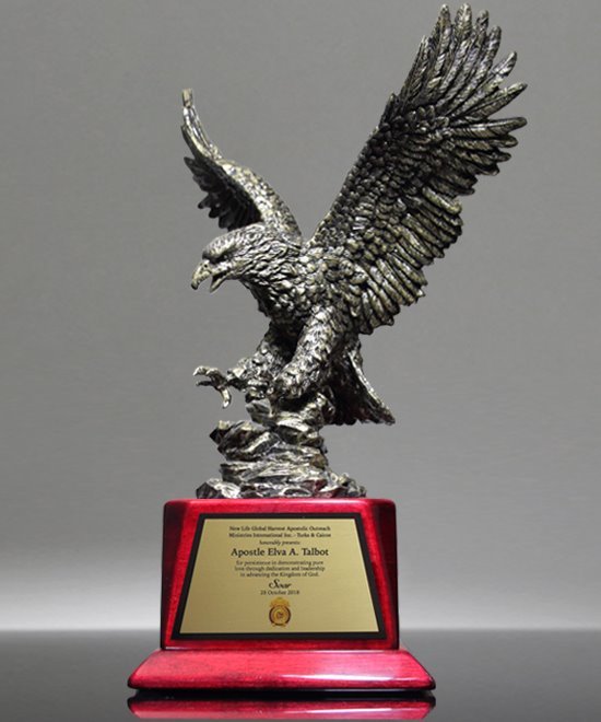 Eros Flight Eagle Trophy | Edco Awards