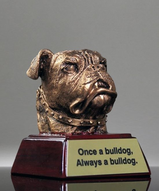 Bulldog Mascot Trophy | Edco Awards