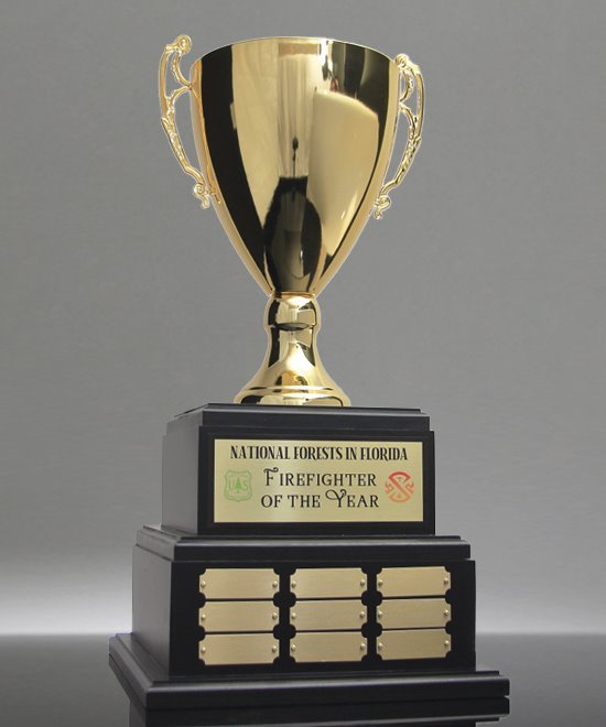 Masters Perpetual Trophy Cup | Edco Awards