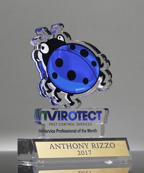 Premium Cut-to-Shape Custom Acrylic Award | Edco Awards
