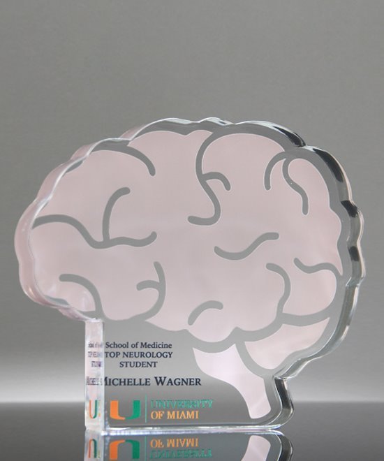 Acrylic Brain Trophy Paperweight | Edco Awards