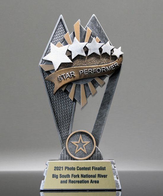 Sun Ray Star Performer Award | Edco Awards