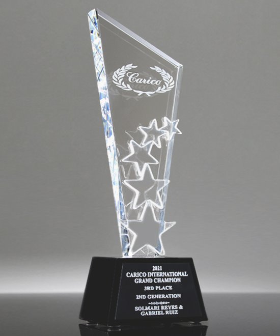 Custom Star Trophy Crystal Award | Edco Awards