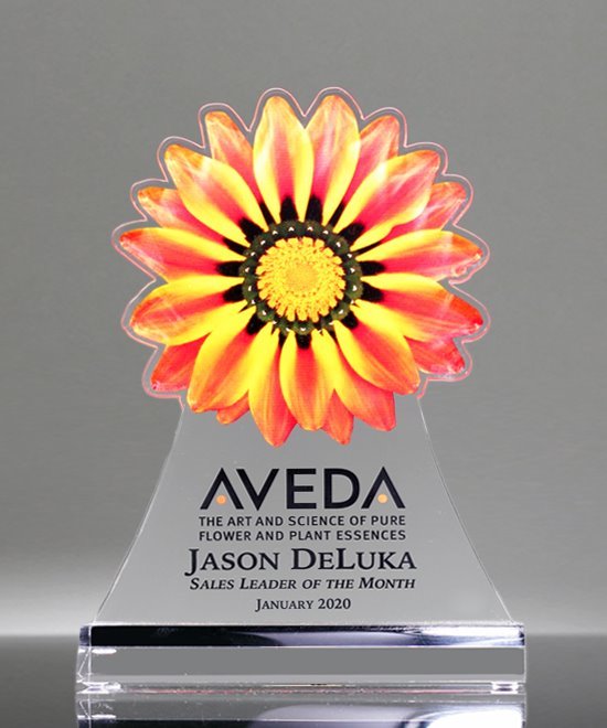 Orange Sunflower Award | Edco Awards