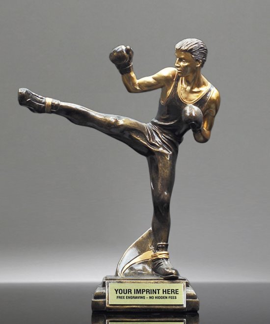 Mixed Martial Arts Resin | MMA Trophy | Edco Awards