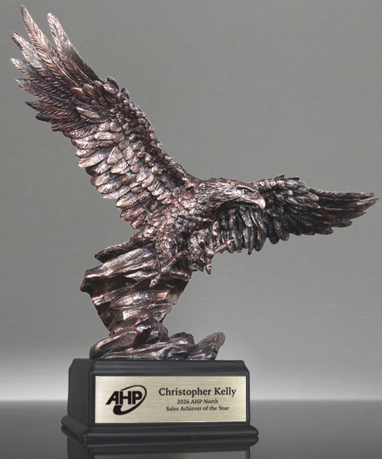 Wings of Valor Bronze Eagle Trophy | Edco Awards