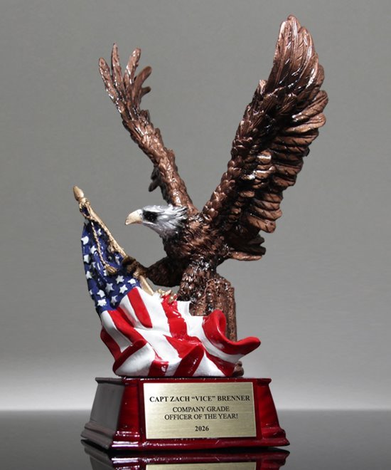 Pride of Freedom - American Flag Eagle Award | SKU AE302 | Edco Awards