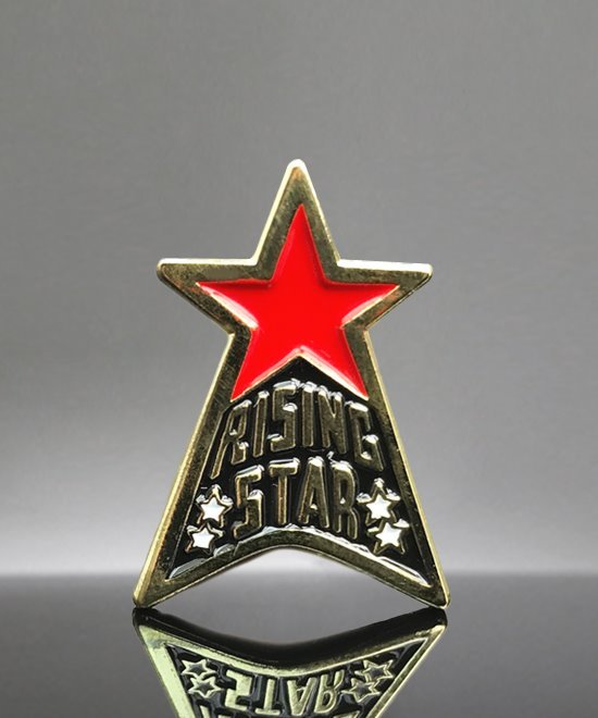Recognition Pin - Star Performer | Edco Awards