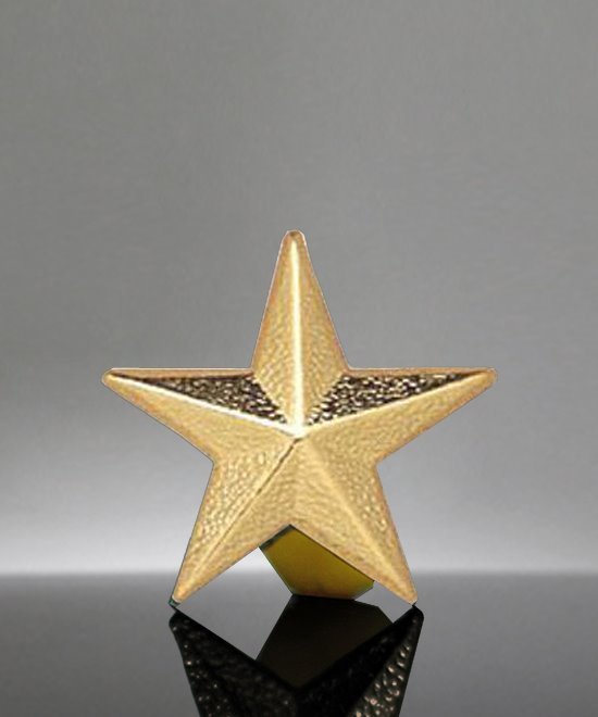 Gold Star Lapel Pin