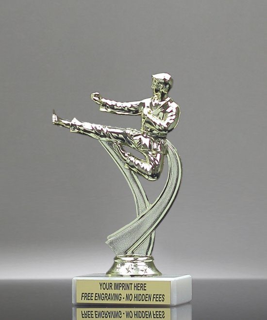 Sport Motion Karate Trophy | Edco Awards