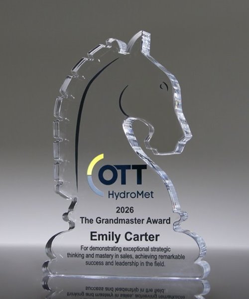 Chess Knight Paperweight Award | Chess Trophy | Edco Awards