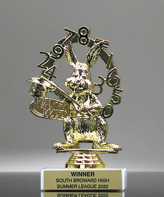 Math Whiz Figure Trophy | 8641-1 | Edco Awards