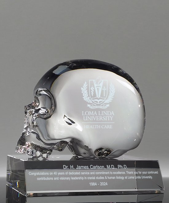 Cranial Excellence Award - Crystal Skull Trophy | Edco Awards