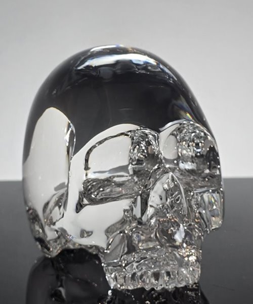 Cranial Excellence Award - Crystal Skull Trophy | Edco Awards