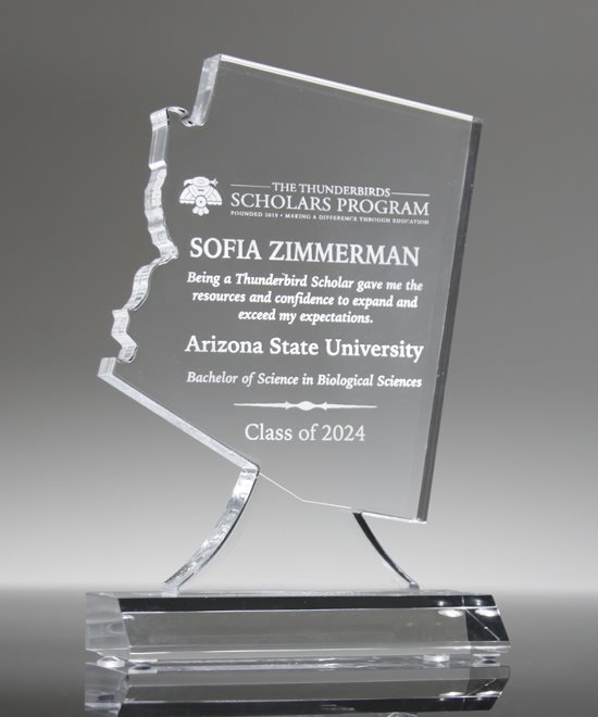 Arizona Acrylic State Shape Trophy | Edco Awards