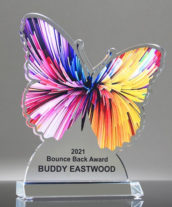 Spectrum Wings Butterfly Award | Edco Awards