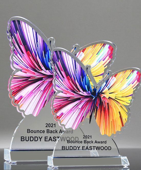 Spectrum Wings Butterfly Award | Edco Awards