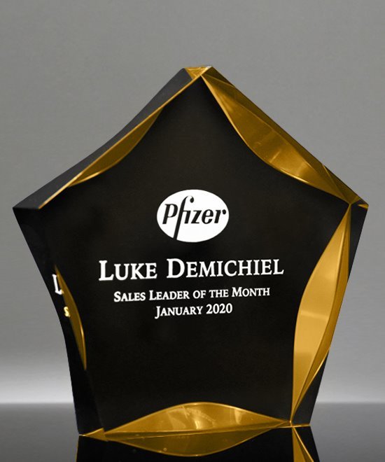 Luminary Gold Sable Star Award | LST6BKG, LST7BKG | Edco Awards