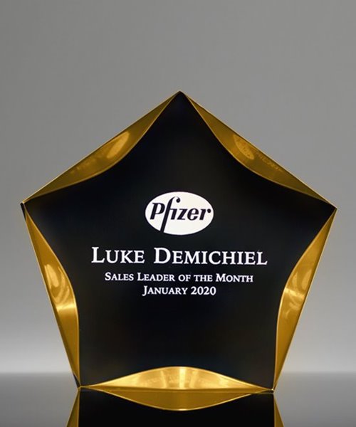 Luminary Gold Sable Star Award | LST6BKG, LST7BKG | Edco Awards