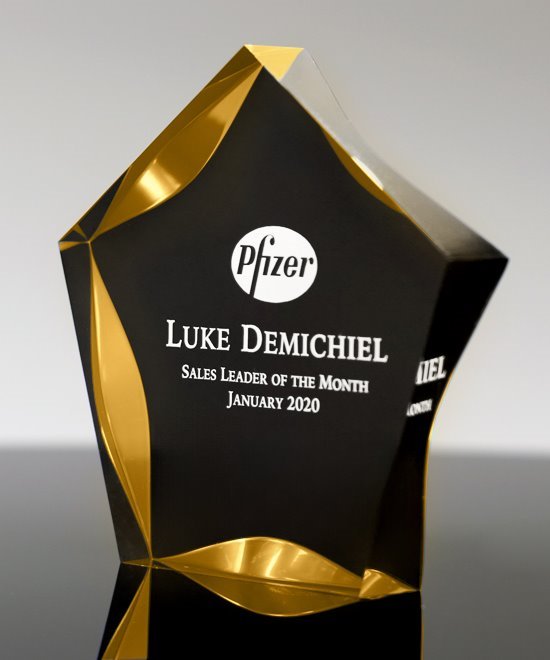 Luminary Gold Sable Star Award | LST6BKG, LST7BKG | Edco Awards
